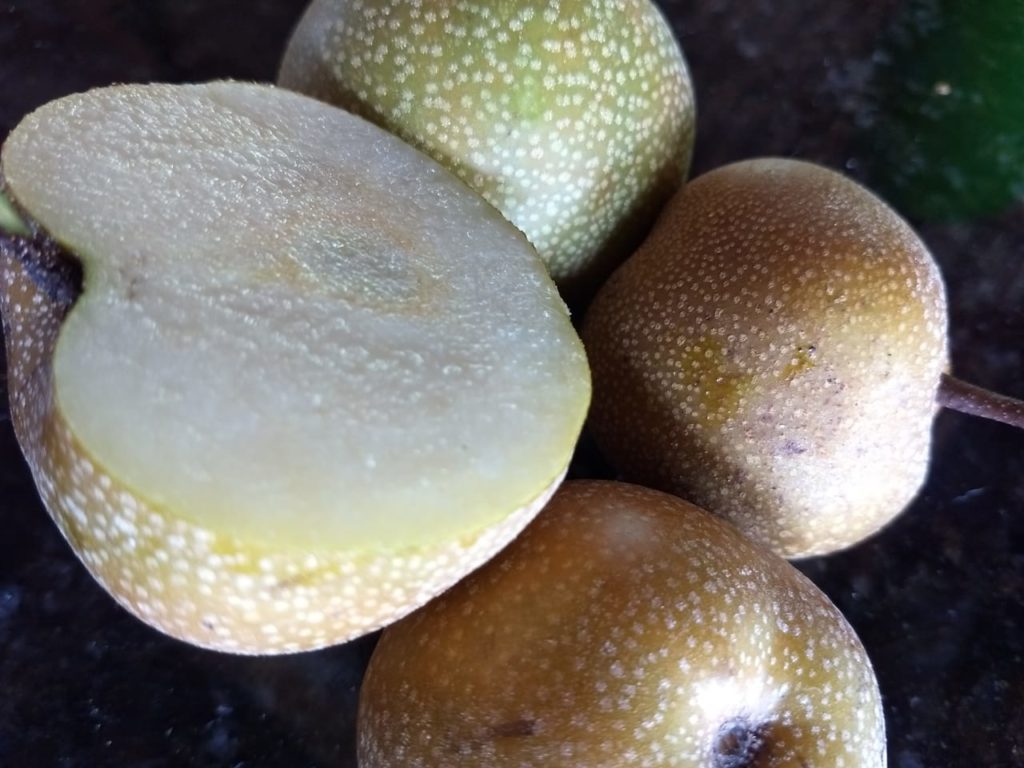 Pera Nashi (1kg) – Sitio Aborigene – Agricultura Regenerativa ...